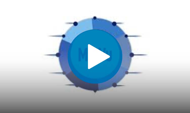 MinVu - Video explicativo | RPMGlobal